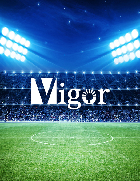 Vigor Sports Facilities